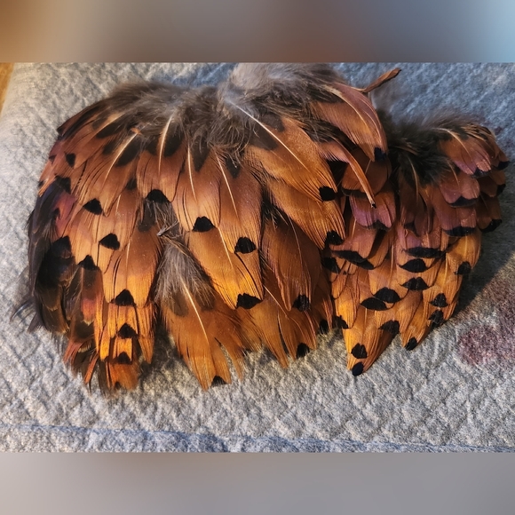 Accents | Pheasant Feathers | Poshmark